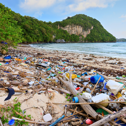 L’Inquinamento marino causato dalla plastica: un problema globale da a ...
